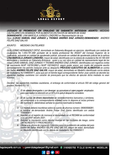 Medidas Cautelares Final Pdf Mandato Justicia