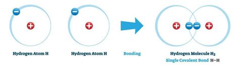 Single Covalent Bond