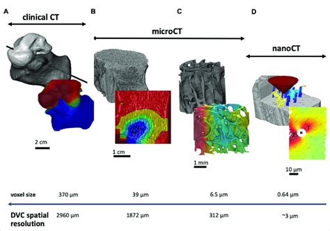 Multi Scale Approach Based On Data Acquired From Different Systems From Download Scientific