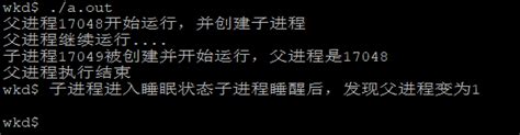 【linux c 进程】进程终止、等待 exit、 exit、wait、waitpid linux c exit csdn博客