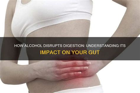 How Alcohol Disrupts Digestion Understanding Its Impact On Your Gut Cyalcohol
