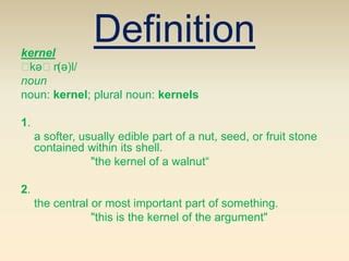 What Is Kernel Basic Idea Of Kernel PPT