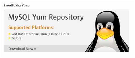 在Linux系统命令行安装软件包简易教程MySQL数据库篇 慕宸一 博客园