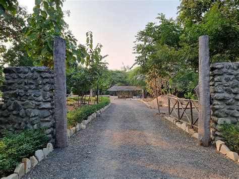 Aarany Jungle Resort And Adventure Prices And Hotel Reviews Araniyajagir India