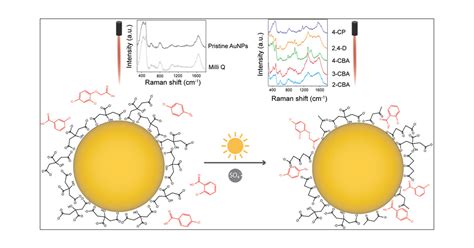 Controlled Citrate Oxidation On Gold Nanoparticle Surfaces For Improved Surface Enhanced Raman