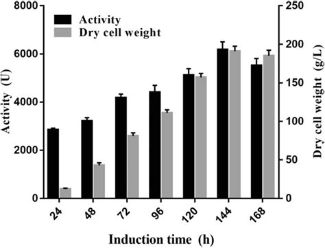 Lipase Production And Cell Growth During Fed Batch Fermentation In A Download Scientific