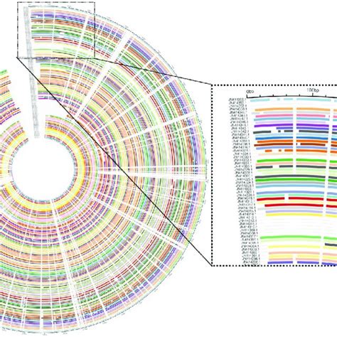 the sequence alignment visualization of large gene sets analyzed with