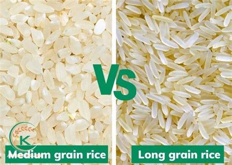 Medium Grain Rice Vs Long Grain Rice Which One Is Better K Agriculture