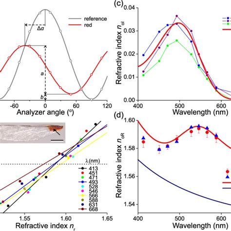 Diagram Of The Jamin Lebedeff Interference Microscope P Polarizer Download Scientific