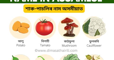 Vegetables Name In Assamese And English With Pictures শাক পাচলিৰ নাম