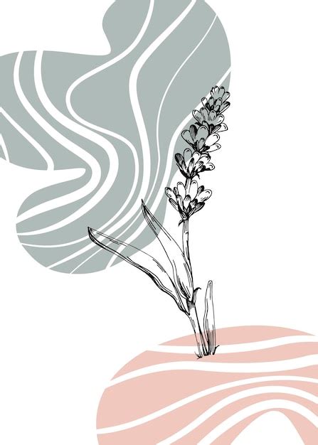 Conjunto De Ilustrações Pintadas à Mão De Lavanda Abstrata Para Decoração De Parede Flor