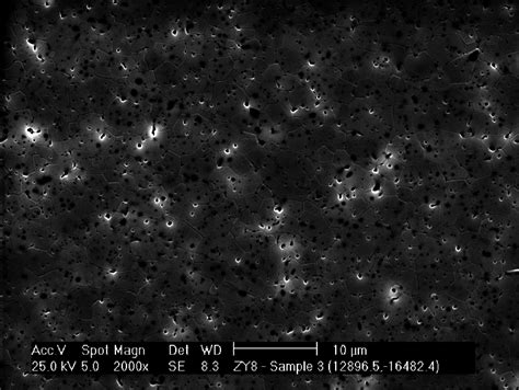 Sem Micrograph Showing Small Grain Size And Even Particle Size