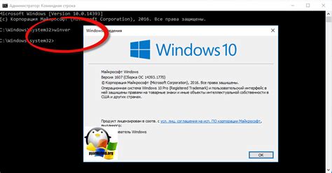 Как узнать версию Windows за минуту Настройка серверов Windows и Linux