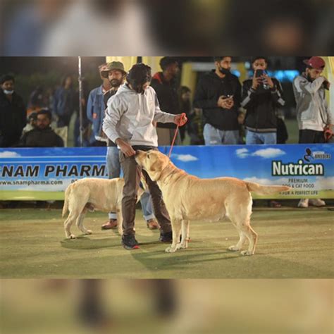 Stream Syed Sumaim Li Music Listen To Songs Albums Playlists For