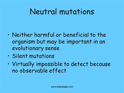 Types Of Neutral Mutation At Tiffany Mora Blog