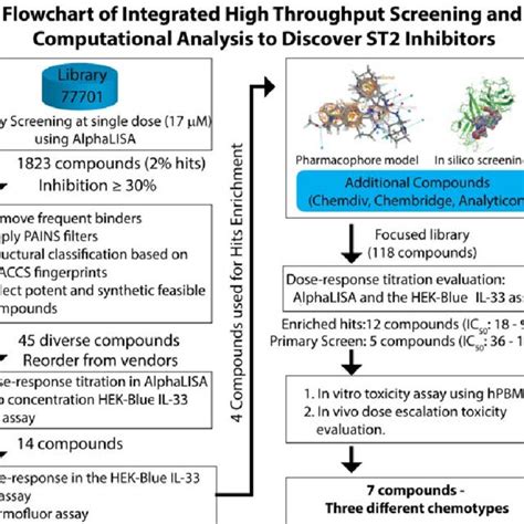 Flow Chart Of High Throughput Screening Download Scientific Diagram