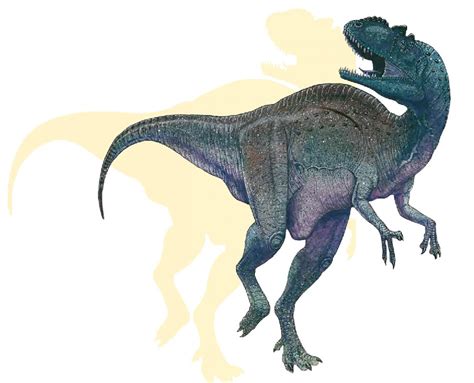 Yangchuanosaurus Pictures And Facts The Dinosaur Database