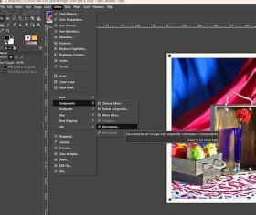 Duotone Cyanotypes 3 Make Negatives Using GIMP AlternativePhotography Com