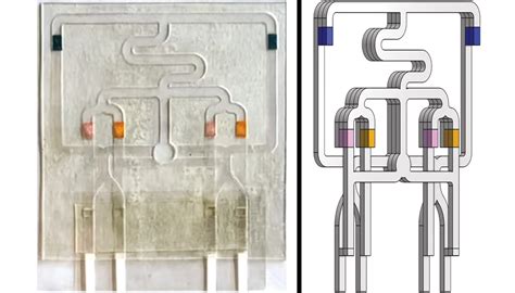 Microfluidics Could Enable Rapid At Home Testing For Common Stis