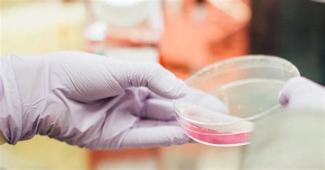 IVF With PGT Remember The Girls