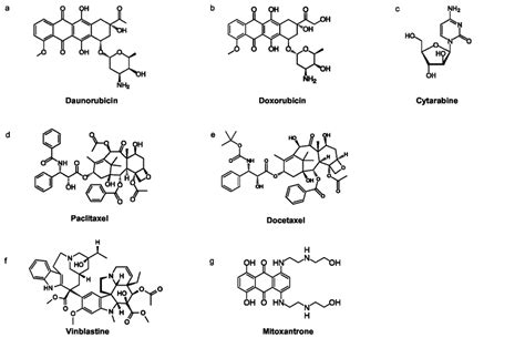 5 Chemical Structures Of Some Anticancer Drugs Such As P Gp Substrates