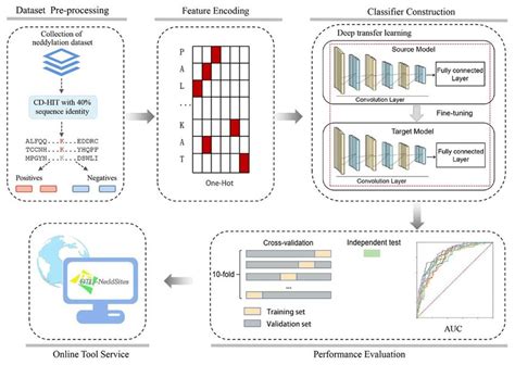 The Flowchart Of Model Construction And Evaluation Download