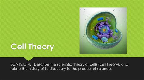 Pdf Cell Theory · Students Will