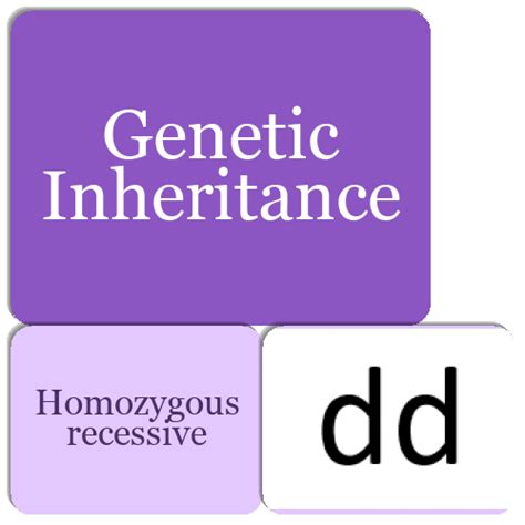 Genetic Inheritance Match The Memory