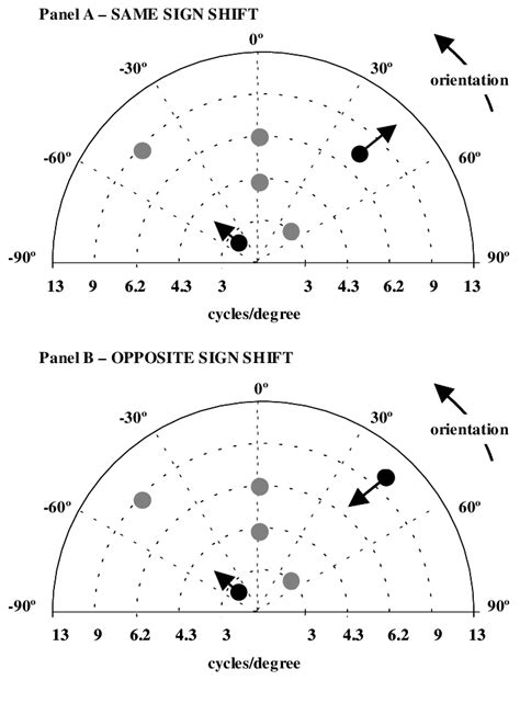 Polar Plot Of The Stimuli Used For The Transfer Of Task Experiment Download Scientific Diagram