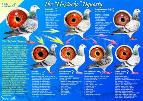 The El Zarka Dynasty