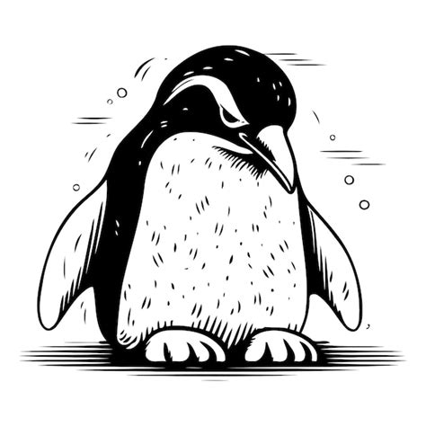Premium Vector Penguin Vector Illustration Isolated On White Background