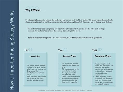 Determine Right Pricing Strategy New Product How A Three Tier Pricing