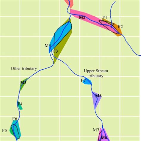 Minimum Convex Polygons Of Individually Numbered Males M And Females