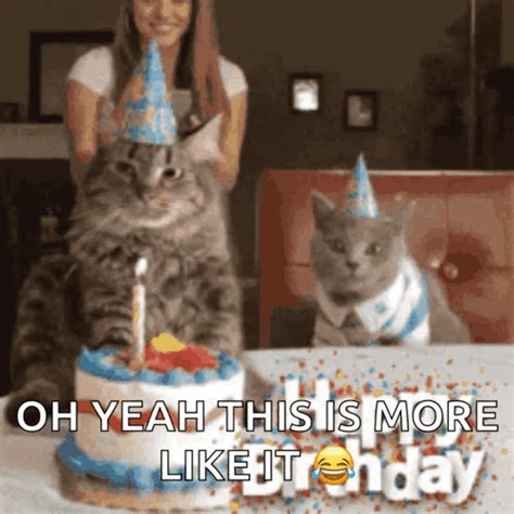 Happy Birthday Animated  Cat