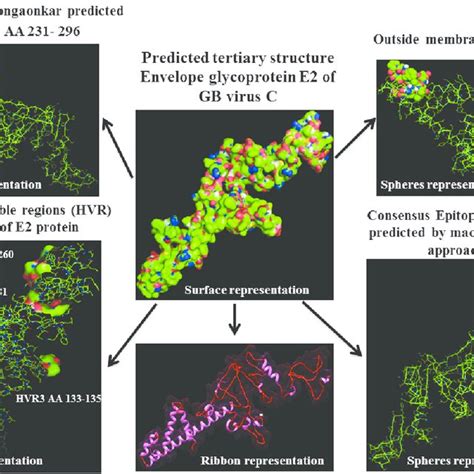 Gor Iv Secondary Structure Prediction Method Protein Secondary Download Scientific Diagram