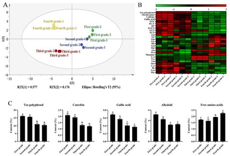 Analysis Of The Main Taste Components Of Shaken Hunan Black Tea A Download Scientific