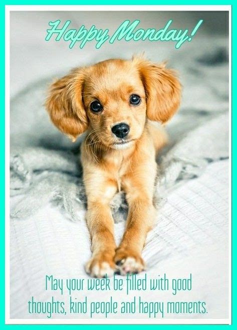 Have A Great Monday Artofit