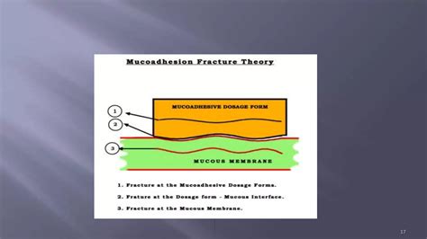 Buccal Drug Delivery System Pptx