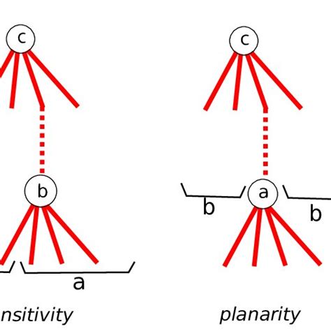 Illustration Of The Transitivity And Planarity Conditions On S Tree