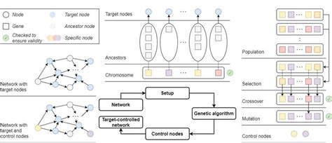 The Basic Outline Of The Genetic Algorithm Shown In A Clockwise