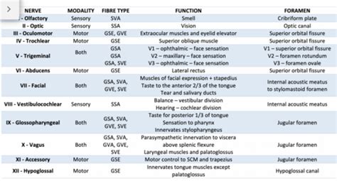 How To Check Cranial Nerves Signalsteel19