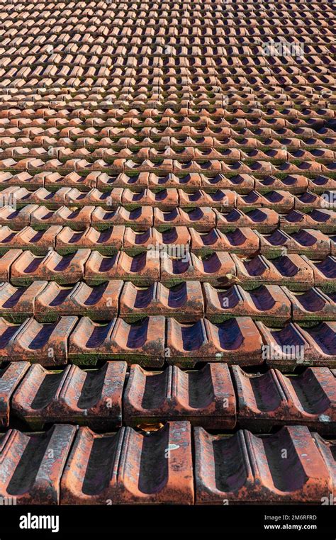 What Is Interlocking Roof Tile At Charles Braim Blog
