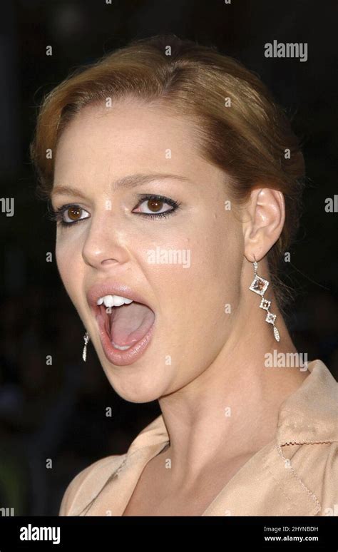 Katherine Heigl Knocked Up Pregnant