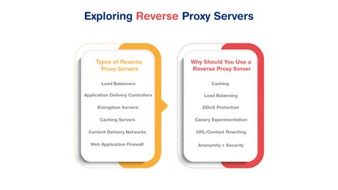 forward proxy vs reverse proxy differences and uses 2024