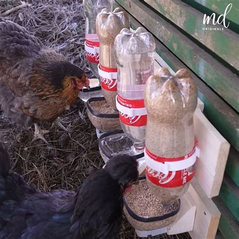 Very Easy Diy Chicken Feeders Very Easy Diy Chicken Feeders By
