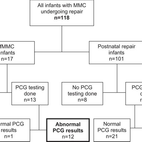 flowchart of infants born with mmc by pcg testing and results