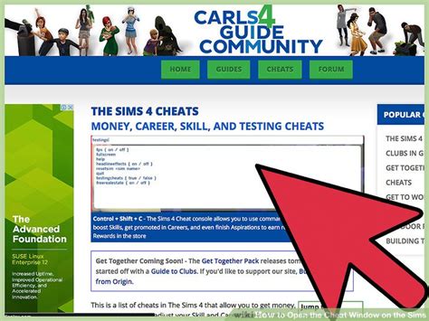How To Open The Cheat Window On The Sims 10 Steps With Pictures
