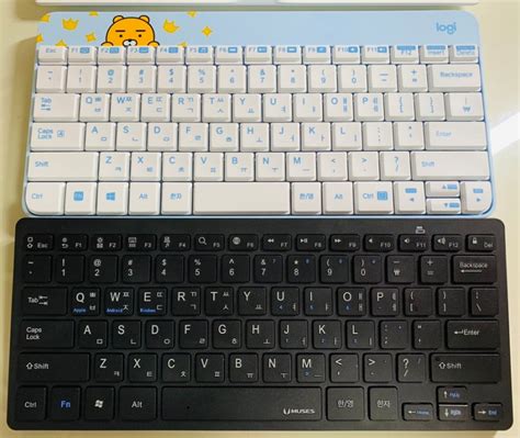 Logitech 로지텍 K240 Nano 카카오프렌즈 에디션 에누리 쇼핑지식 리뷰