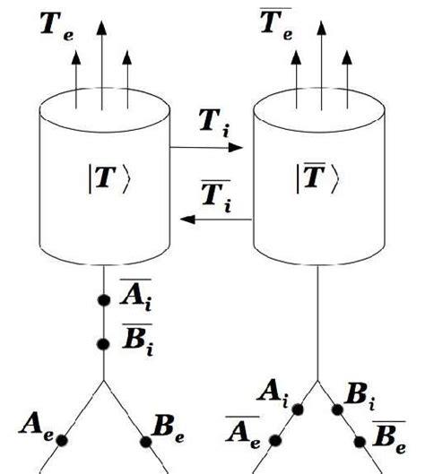 Programming For A Toffoli Control Gate By Placement Of Excitatory And