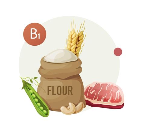 Premium Vector Natural Food Sources Of Vitamin B1 For Healthy Diet